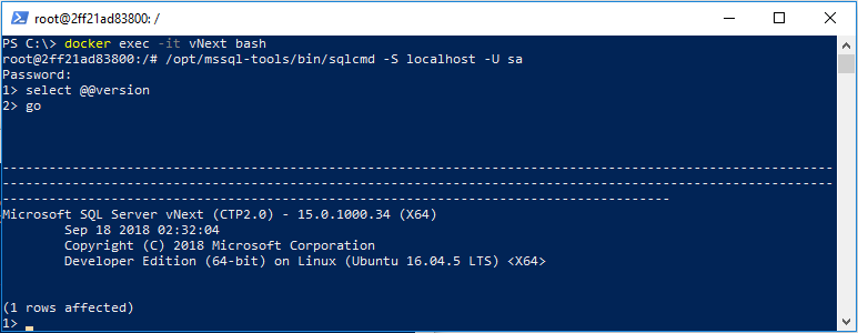 Connect to SQL Server on Linux – Michał's Blog